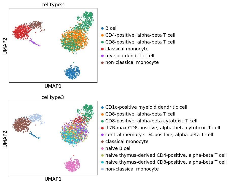 notebook 2 - celltype annotation and beyond — BESCA 2.4 documentation